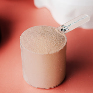 Collections – Wheyl Nutrition Co.